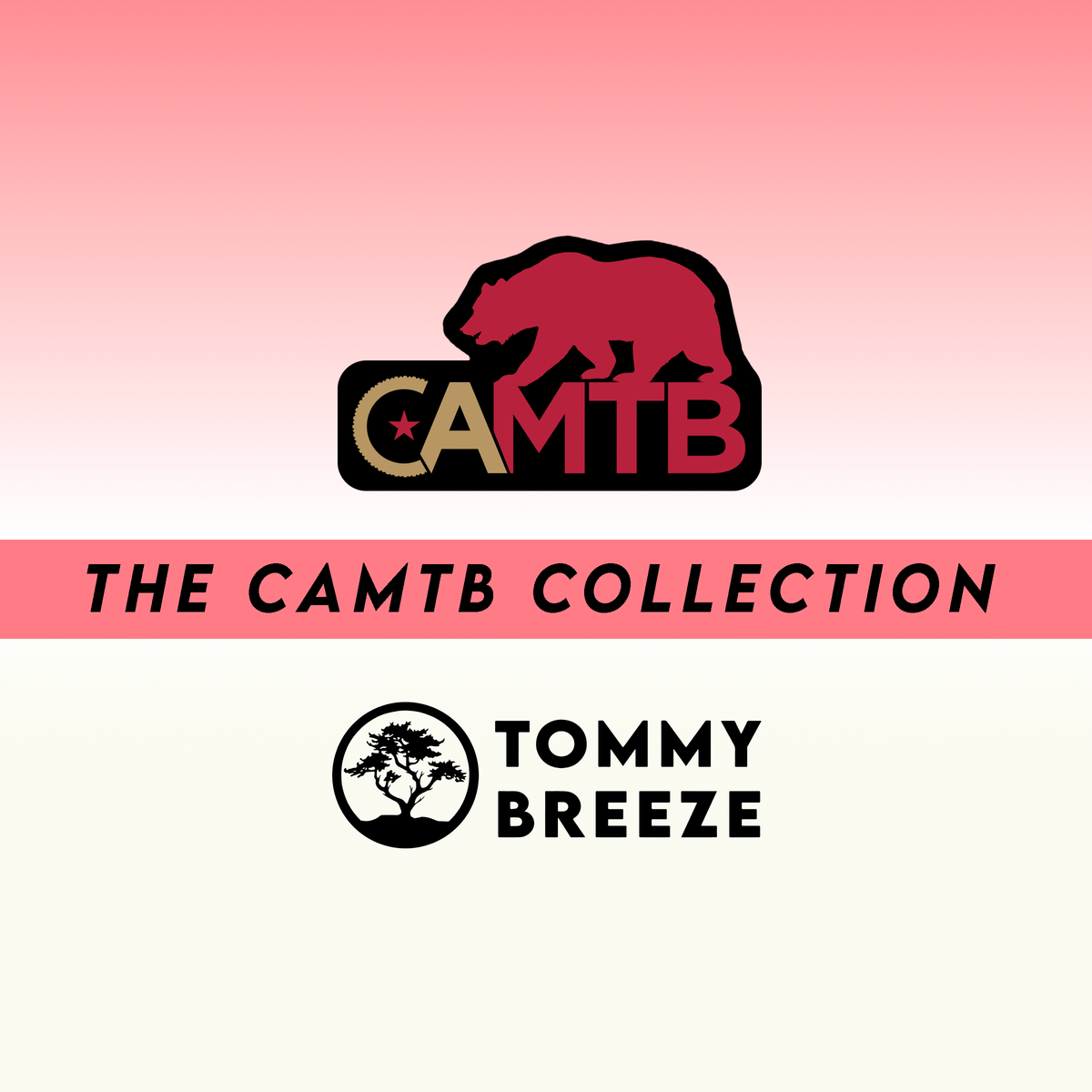 CAMTB x Tommy Breeze