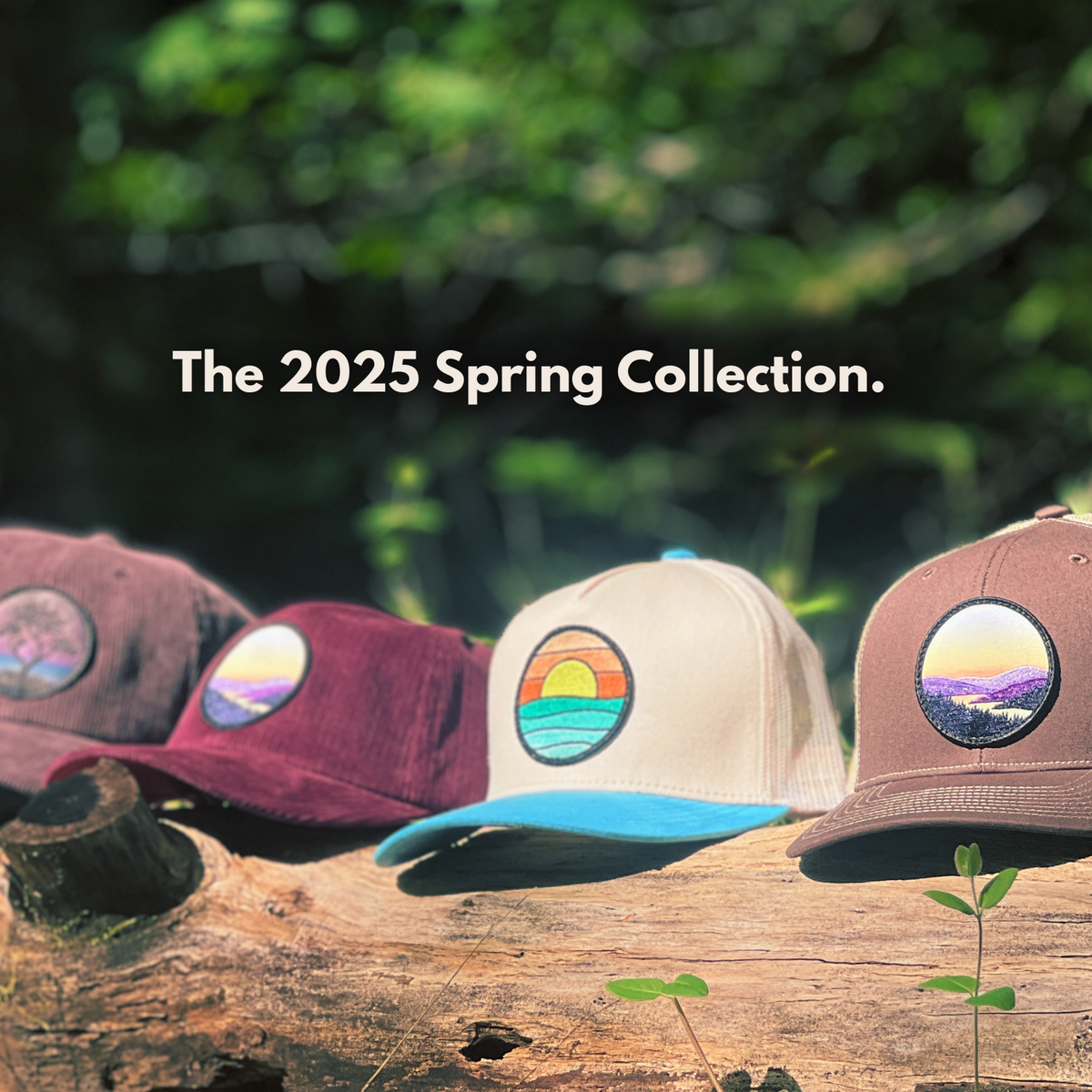 2025 Spring Collection – Tommy Breeze